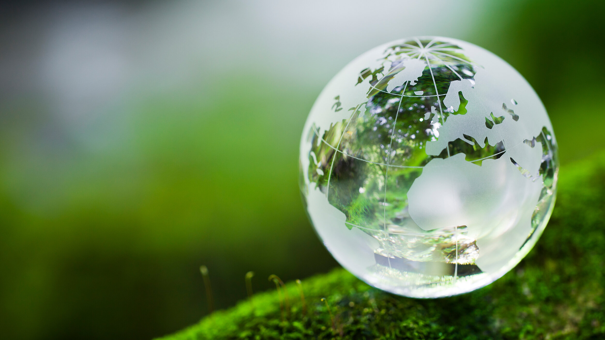 BBC: We will be Net Zero by 2050 - TVBEurope