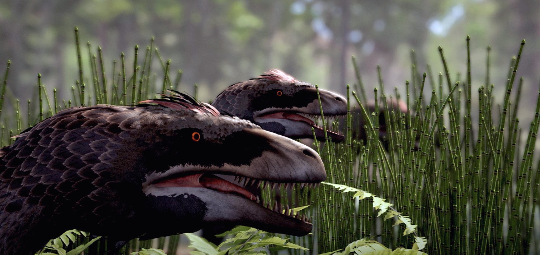 Turning a 4,500 sq ft studio into 36 miles of jungle - TVBEurope