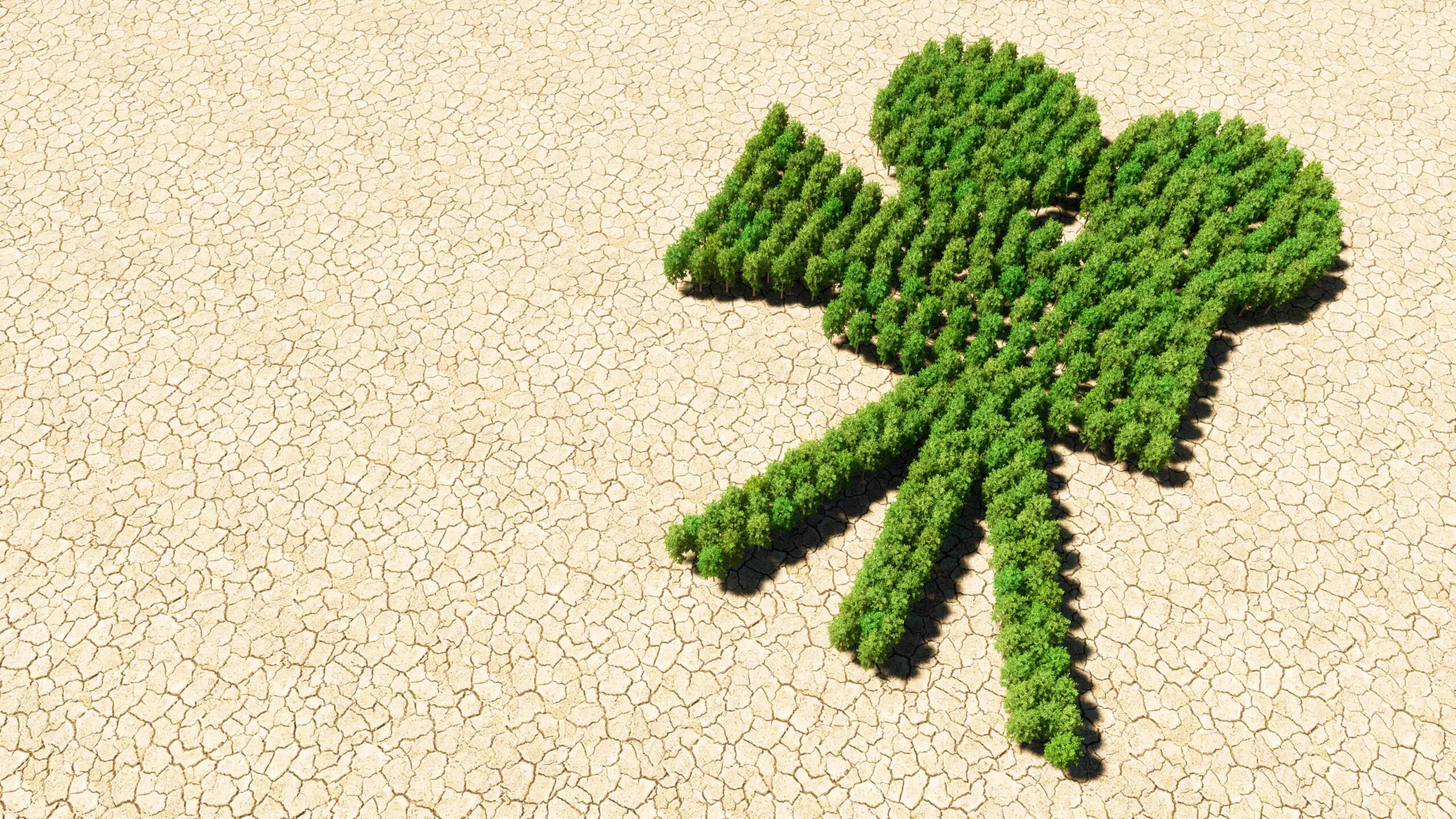 BAFTA albert publishes sustainable suppliers directory - TVBEurope