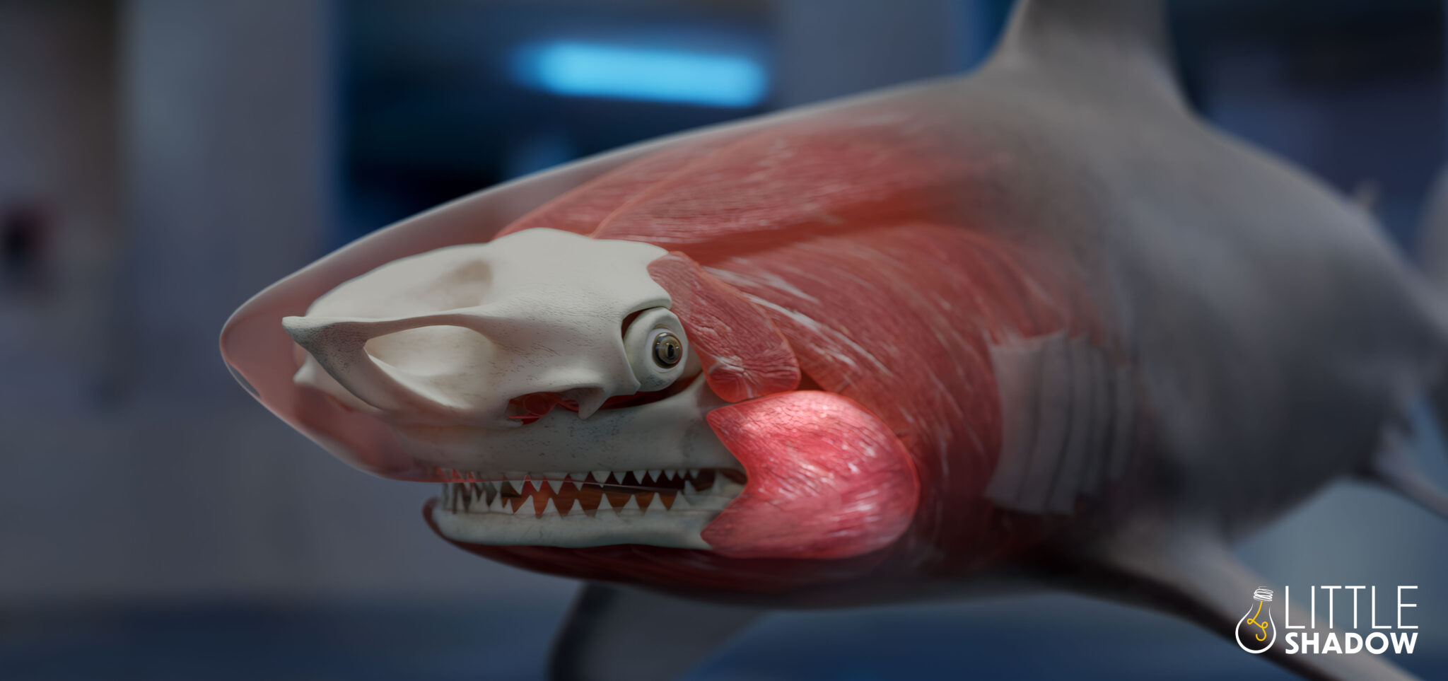 Taking a bite out of the VFX for Shark Attack 360 - TVBEurope