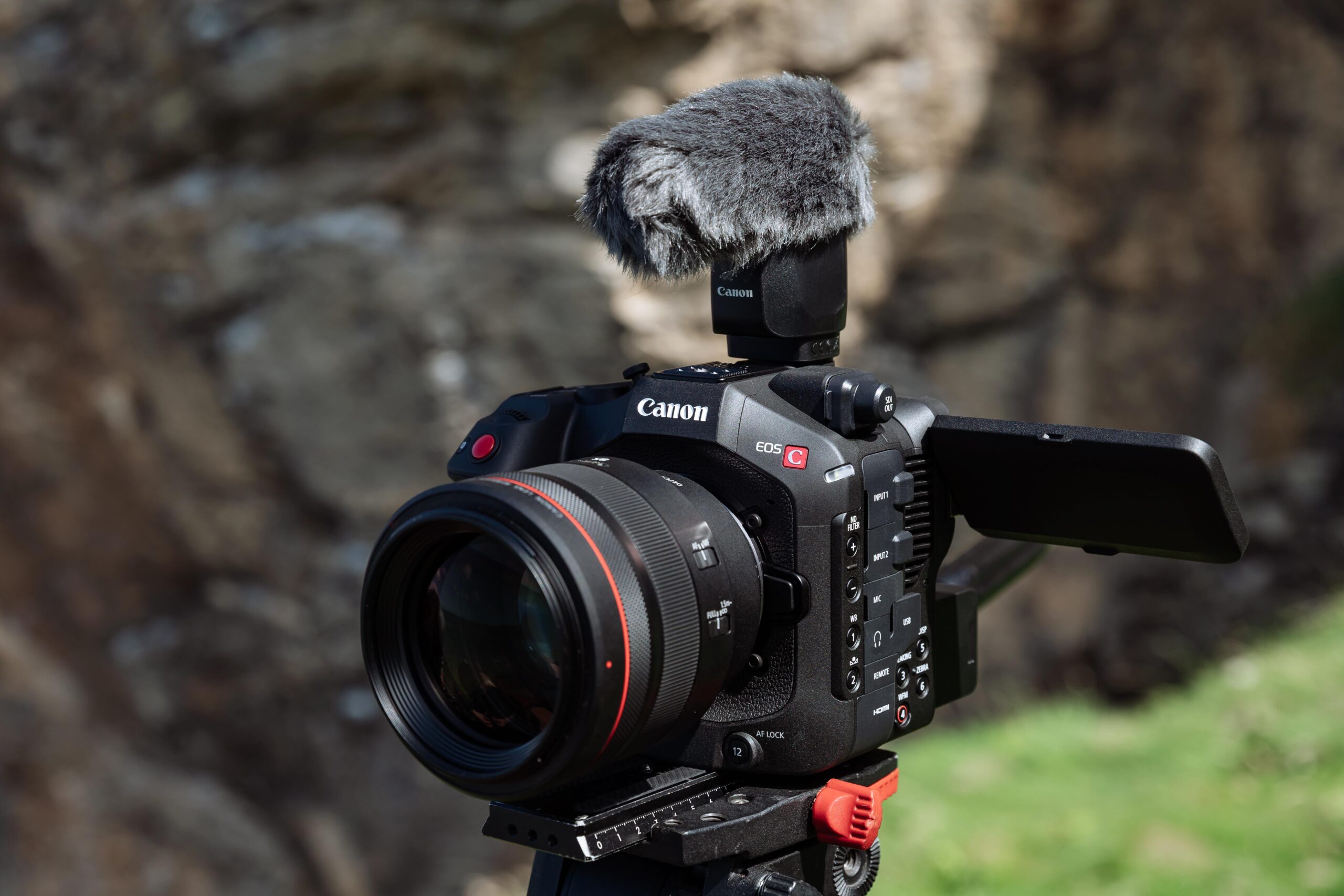 Canon unveils 'revolutionary' EOS C80 camera for filmmaking and live ...