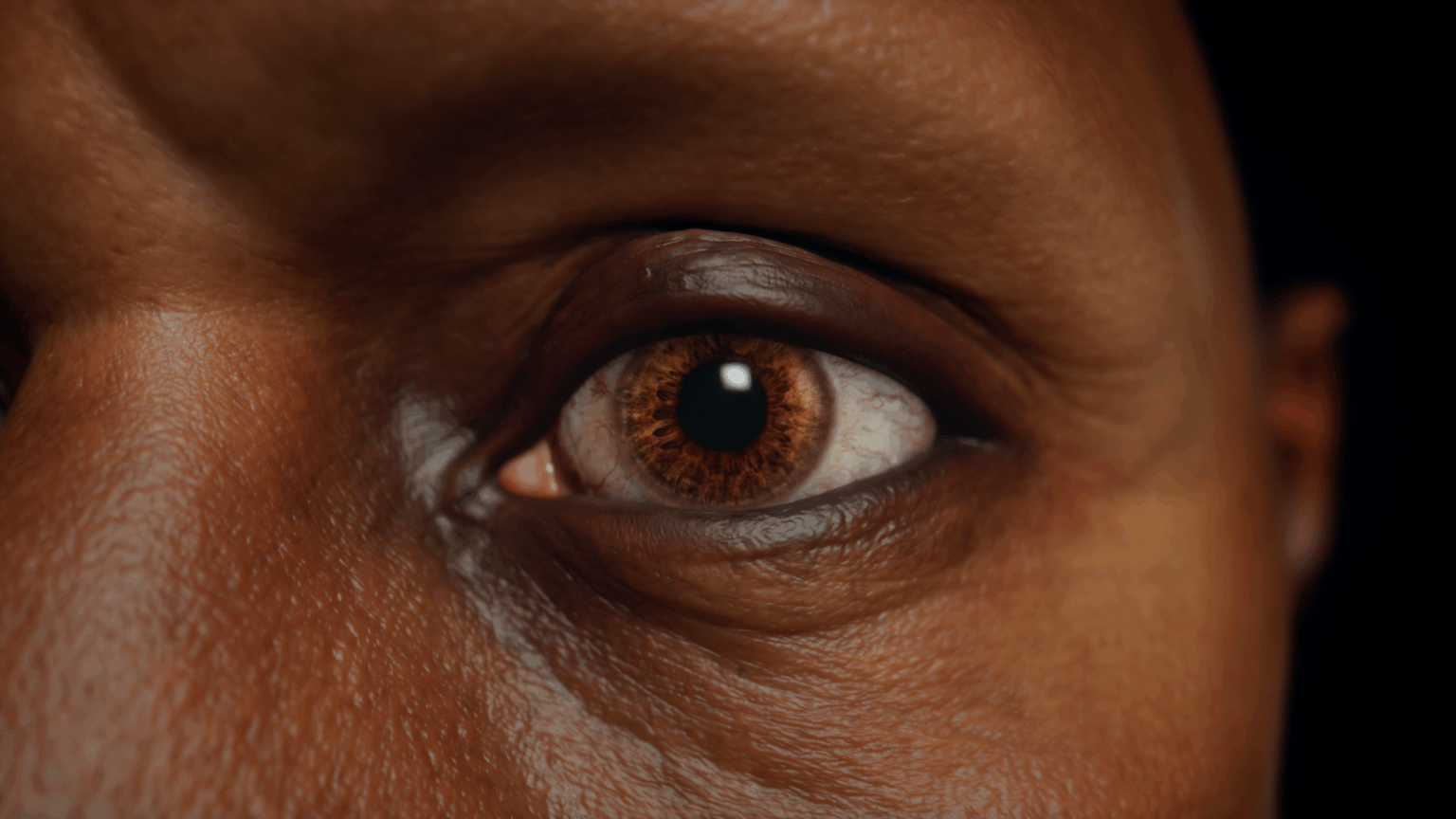 Reconstructing the past: how Lux Aeterna brought early humans to life ...